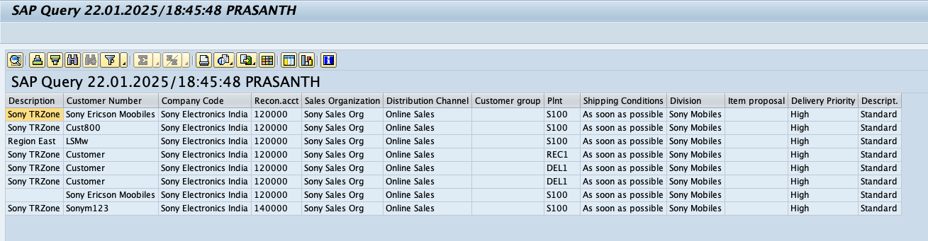 Mastering SAP Query: Create and Manage with SQ01 Tool